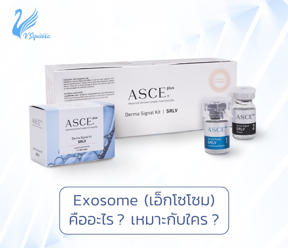 exosome คืออะไร ? ราคาเท่าไหร่ ตัวเลือกที่ดีที่สุด จริงไหม