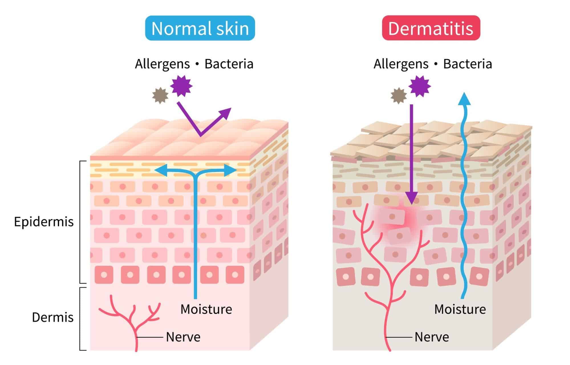 Skin Longevity แนวคิดดูแลผิวระยะยาวที่แพทย์แนะนำ