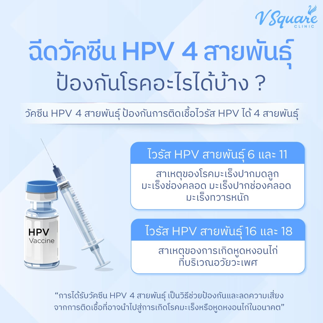 HPV มีกี่สายพันธุ์ ? รู้จักชนิดเสี่ยงสูง-ต่ำ และวัคซีนที่ป้องกันได้